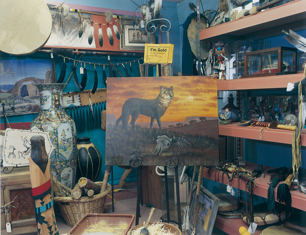 Higley - Andrew Phelps